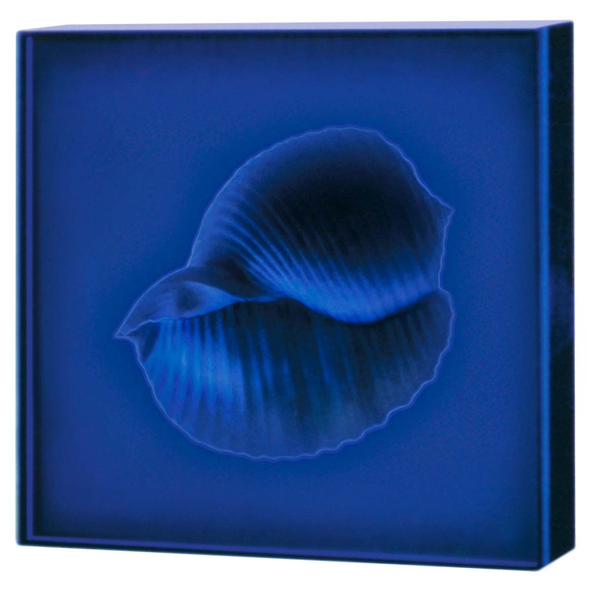 Azzurra I - Lambda print on techno-light box, blue backlight - De Mitri ...