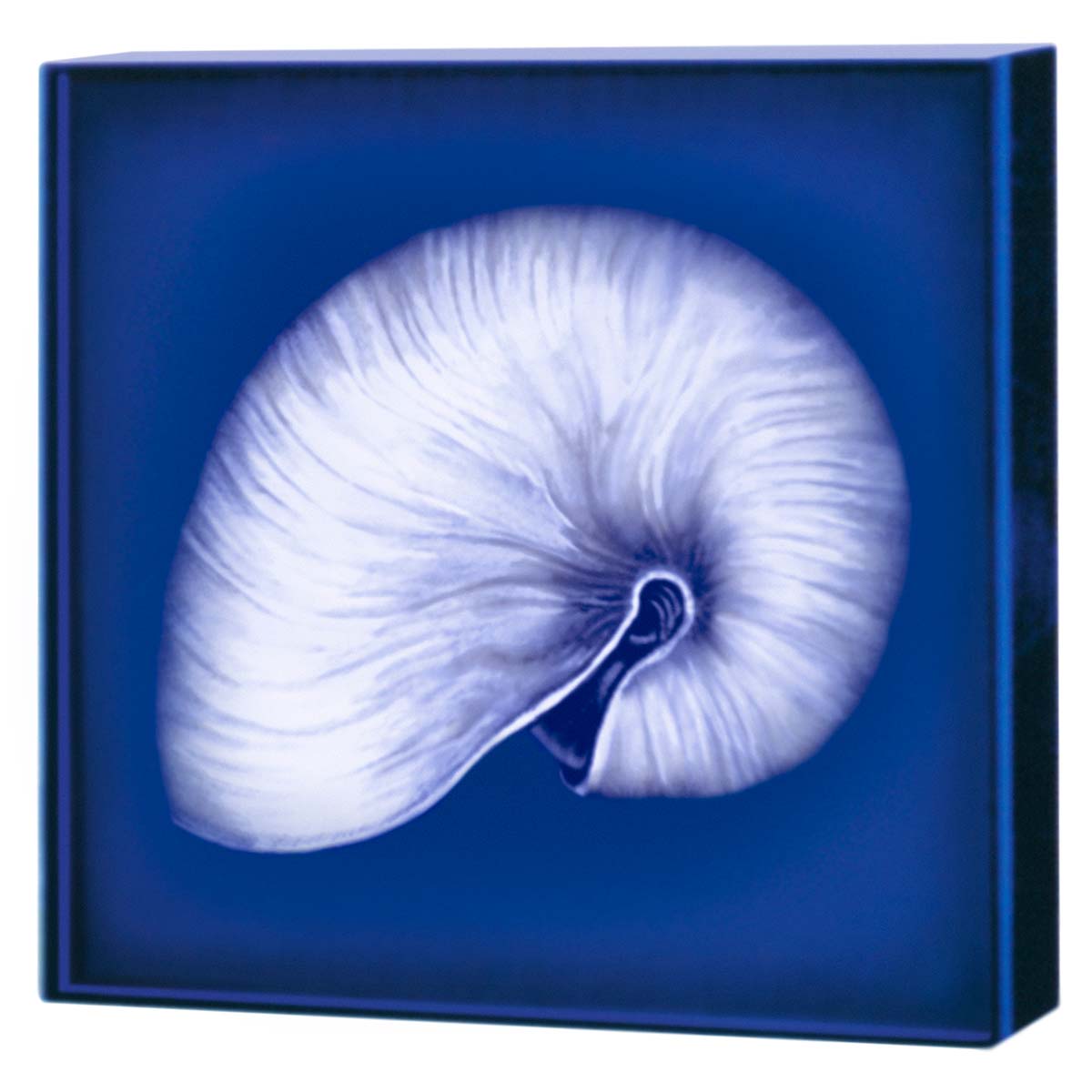 Azzurra V - Photography. Lambda print on techno-light box with blue ...