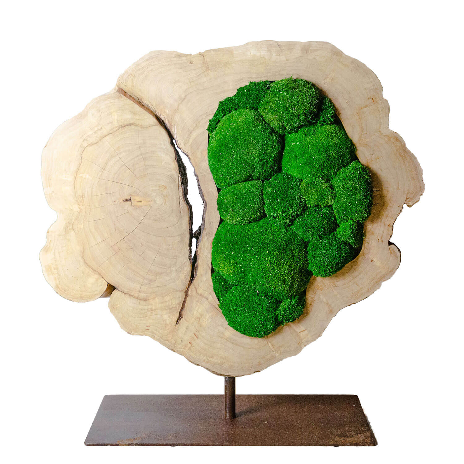 Moss Sculpture - Sculptures. Cedar wood with stabilized mosses and ...