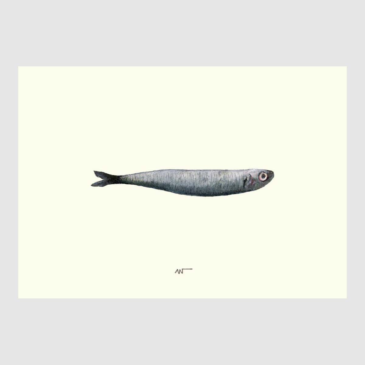 Anchovy Placemats with waterproof print pencil drawing - Fp Art Online